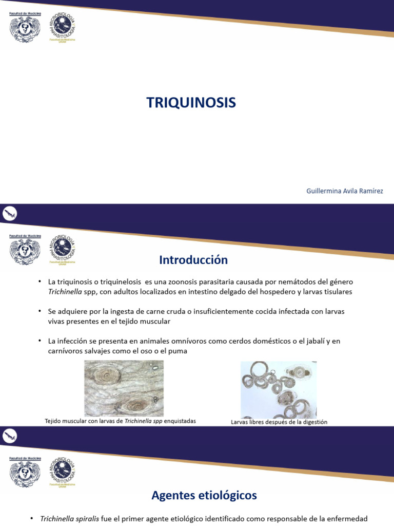 TRIQUINOSIS | PDF | Biología | Medicina CLINICA