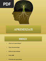 Aprendizaje Implícito y Explicito | PDF | Aprendizaje | Memoria