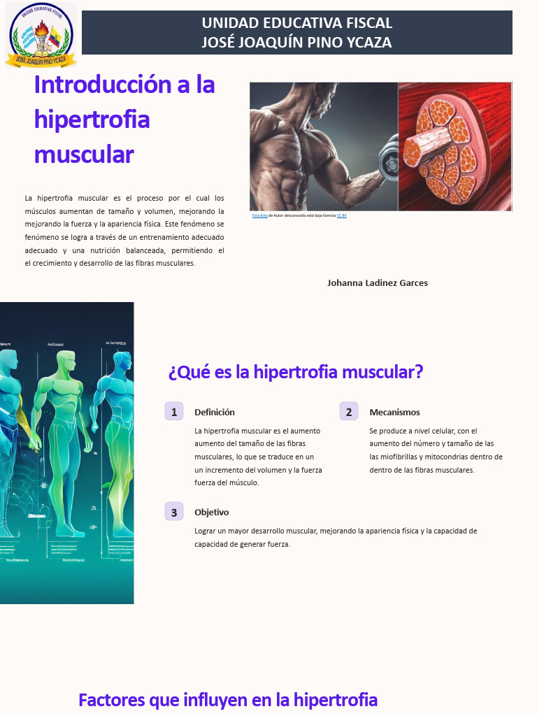 Eeff - Material de Apoyo - Actividad 2 | PDF | Hipertrofia muscular | Músculo