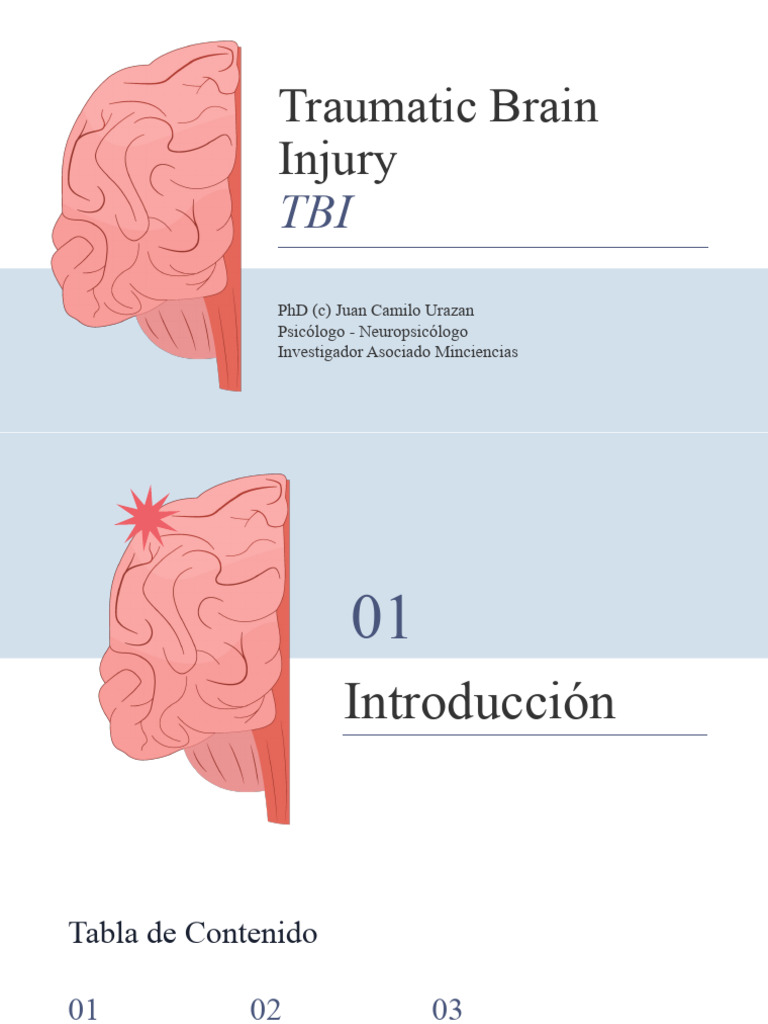 Guía Completa sobre TCE | PDF | Lesión cerebral traumática | Cerebro