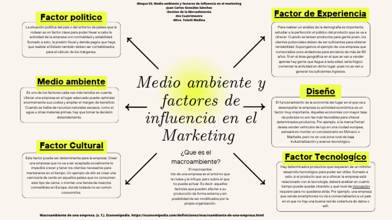 Medio Ambiente y Factores de Influencia en El Marketing: Factor Politico Factor de Experiencia ...