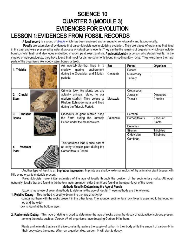 Fossil Evidence and Evolutionary Biology | PDF | Fossil | Nucleic Acid ...