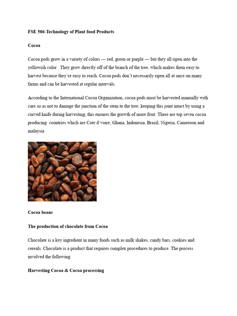 Cocoa Production and Chocolate Processing | PDF | Chocolate | Cocoa Bean