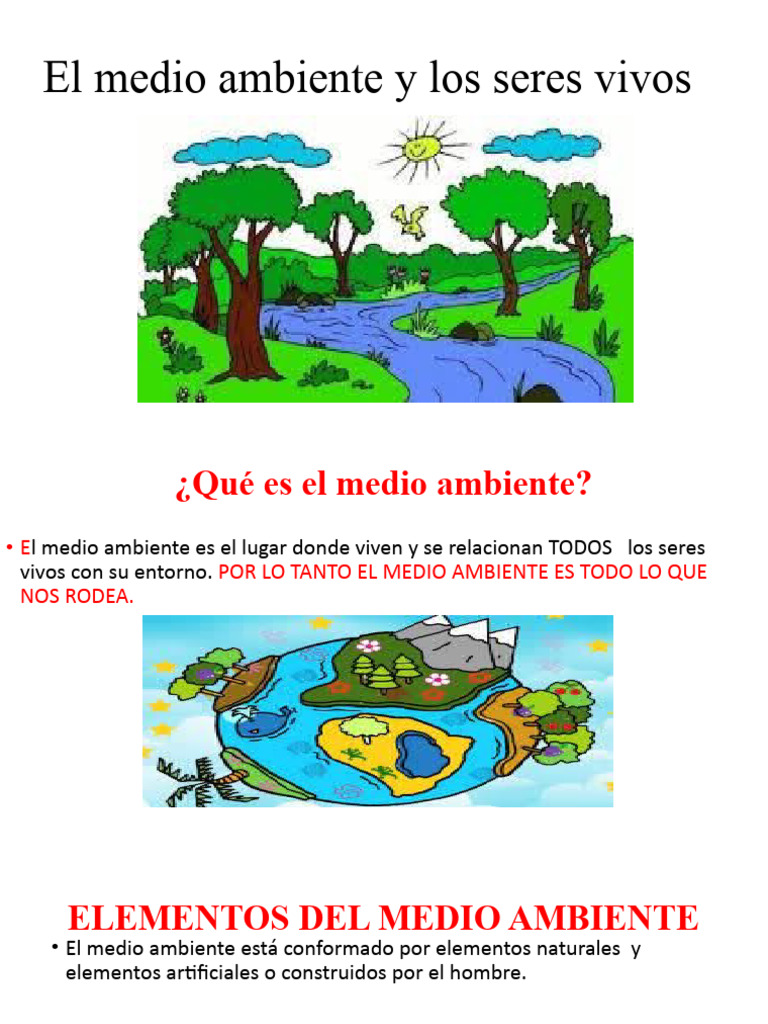 Elementos del medio ambiente y seres vivos | PDF