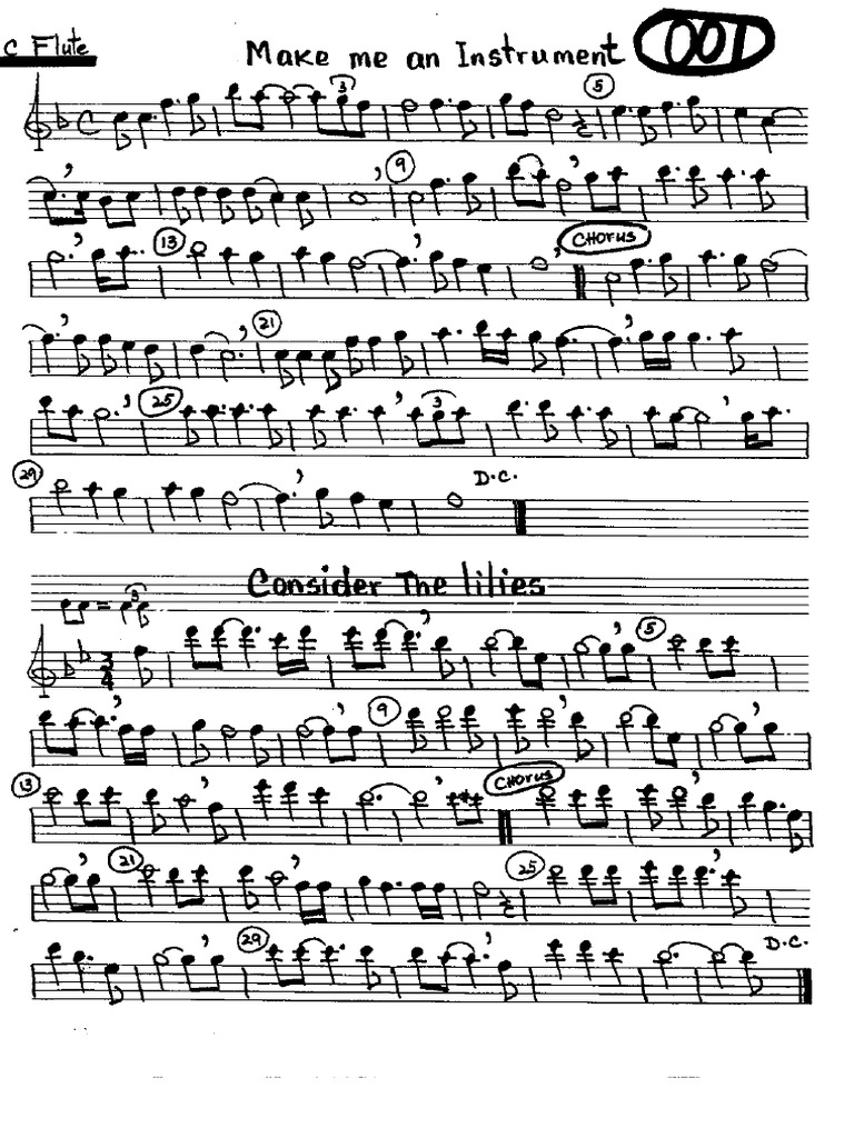 C Flute | PDF