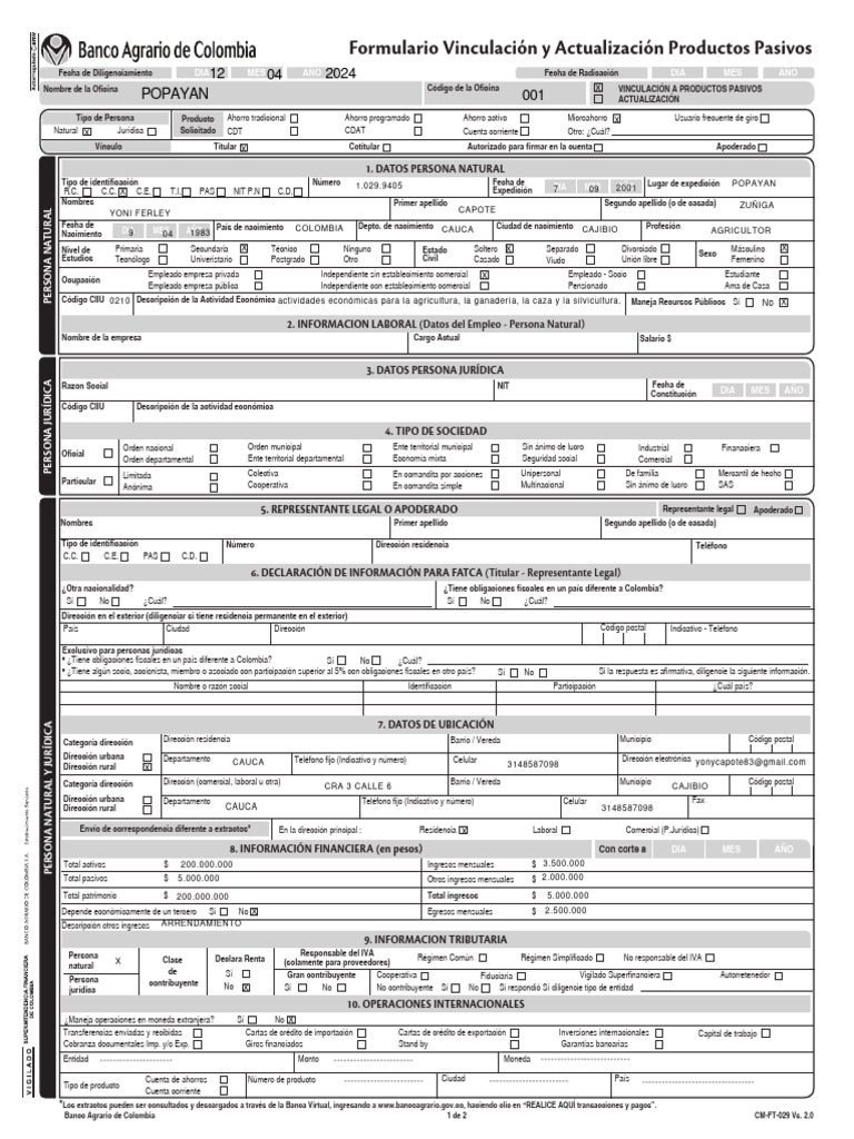 Formulario - de - Vinculacion - y - Actualizacion - para - Persona - Natural - y - Juridica ...