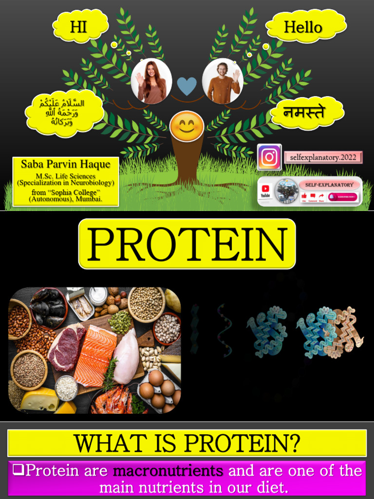 Different Types of Proteins and Amino Acids and Its Structure With ...