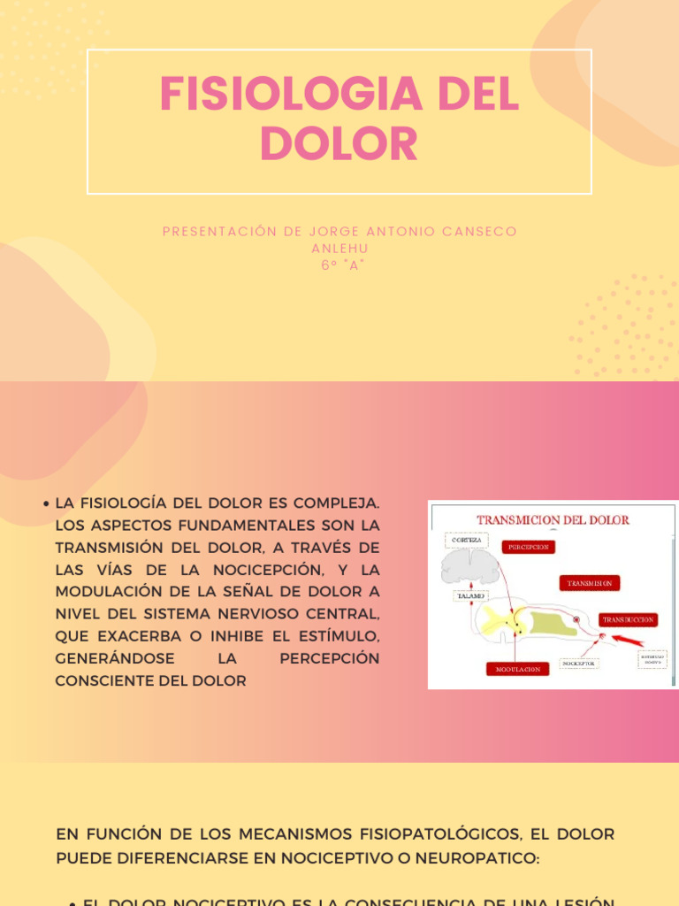 Fisiologia Del Dolor | PDF | Dolor | Sensación