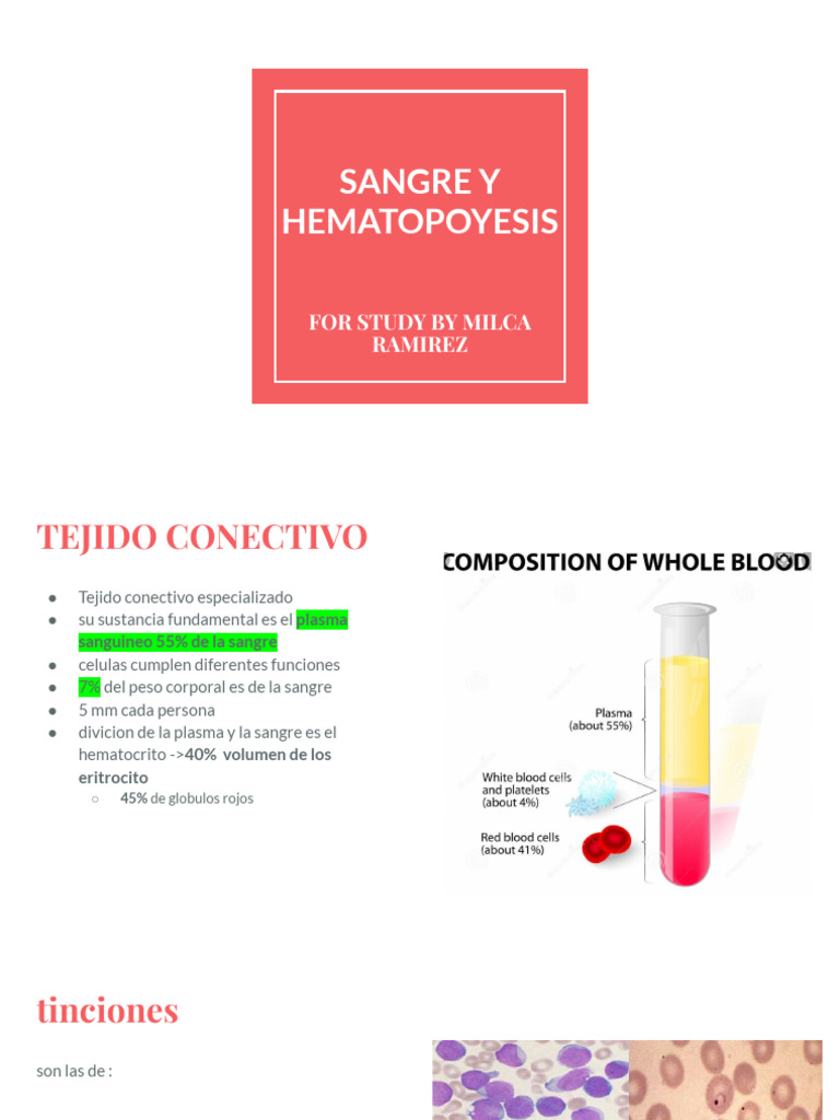 Sangre y Hematopoyesis | PDF | Sangre | Hematopoyesis