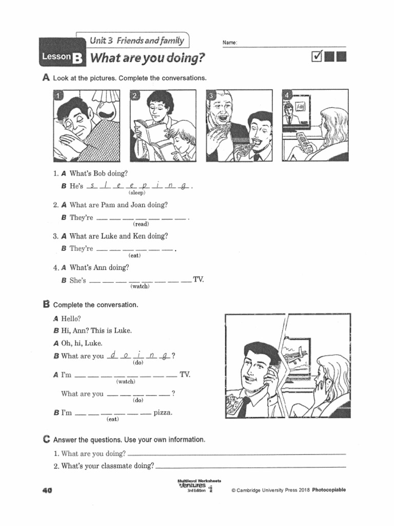 15 B Ventures Multilevel Worksheets Teresa Barton | PDF