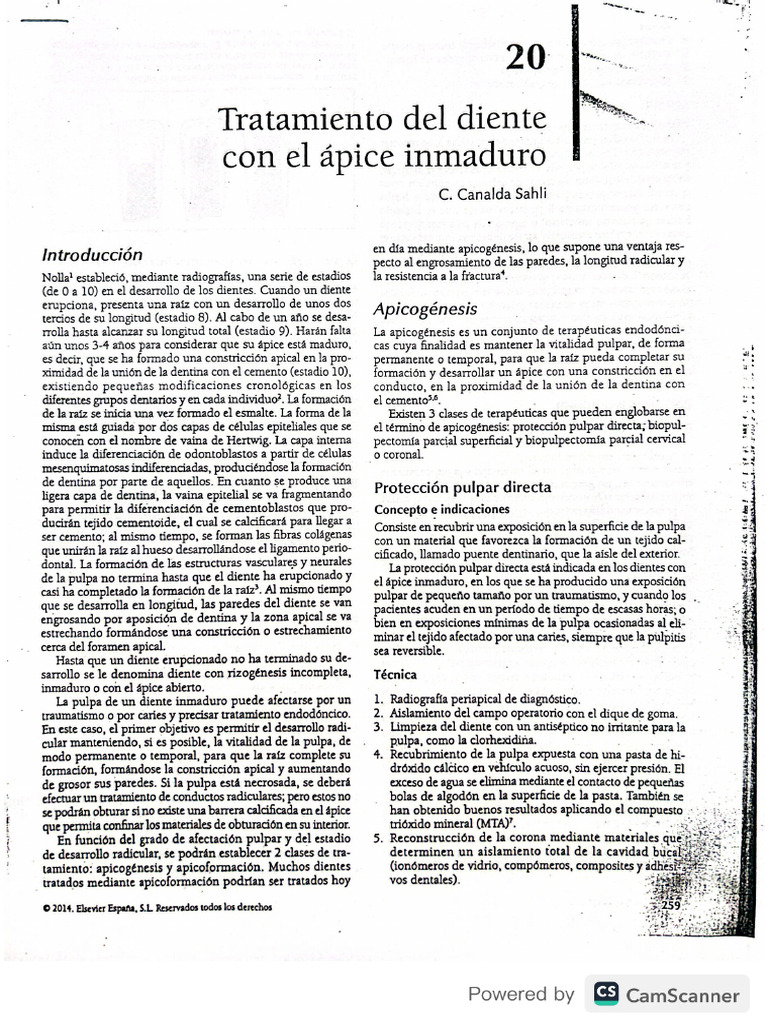 Tratamiento Del Diente Con Ápice Inmadur | PDF