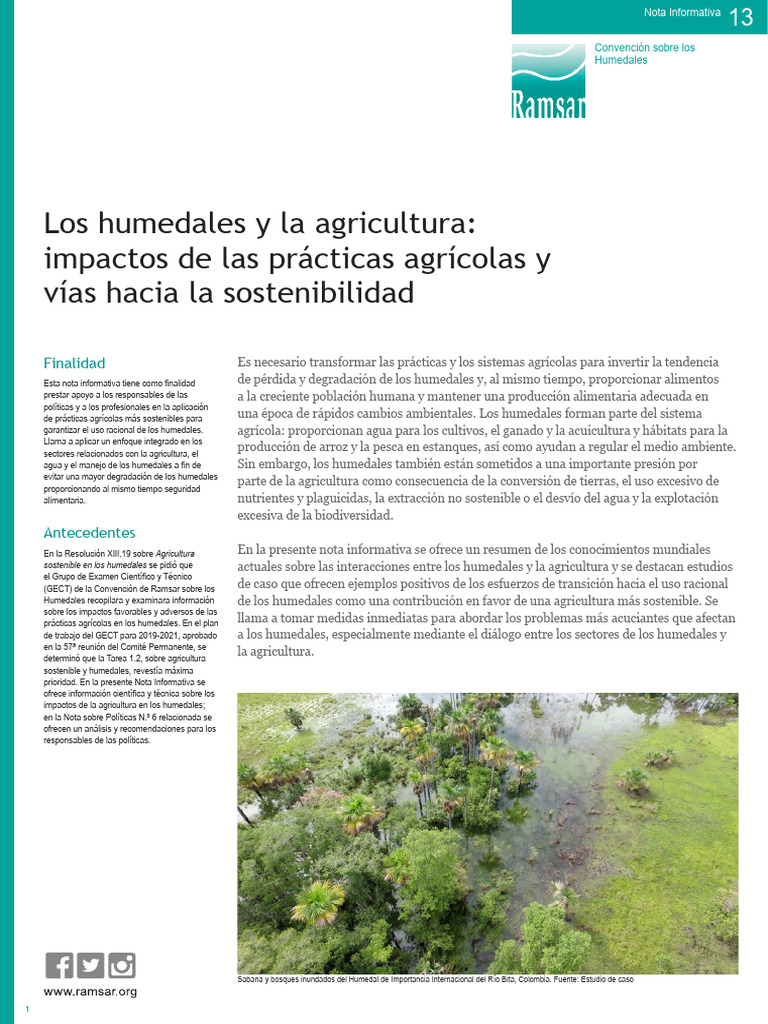 bn13 Agriculture S | PDF | Agricultura | Humedal