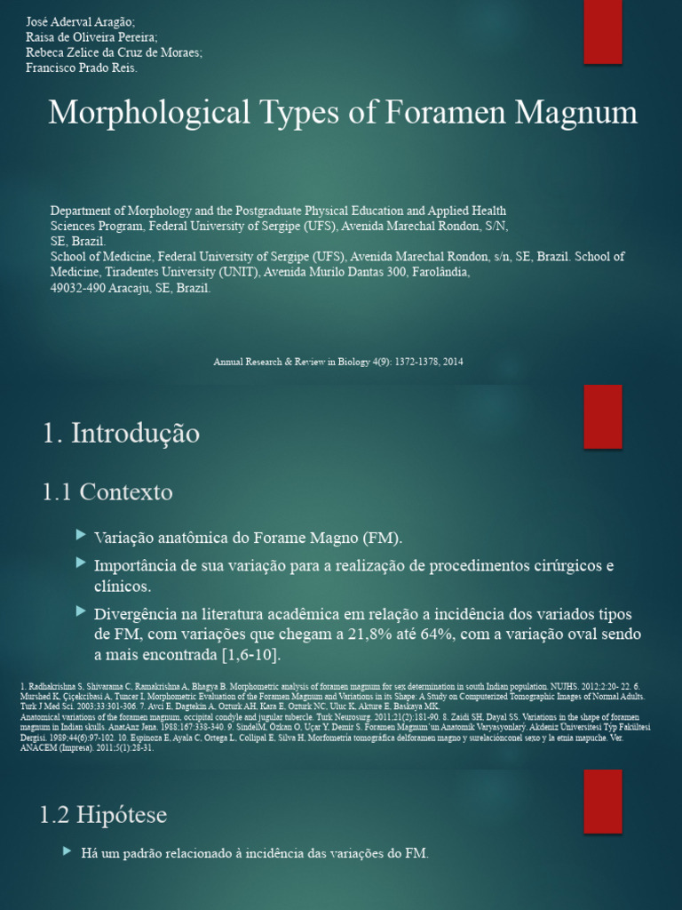 Tipos Morfológicos do Forame Magnum | PDF | Amostragem (Estatística ...