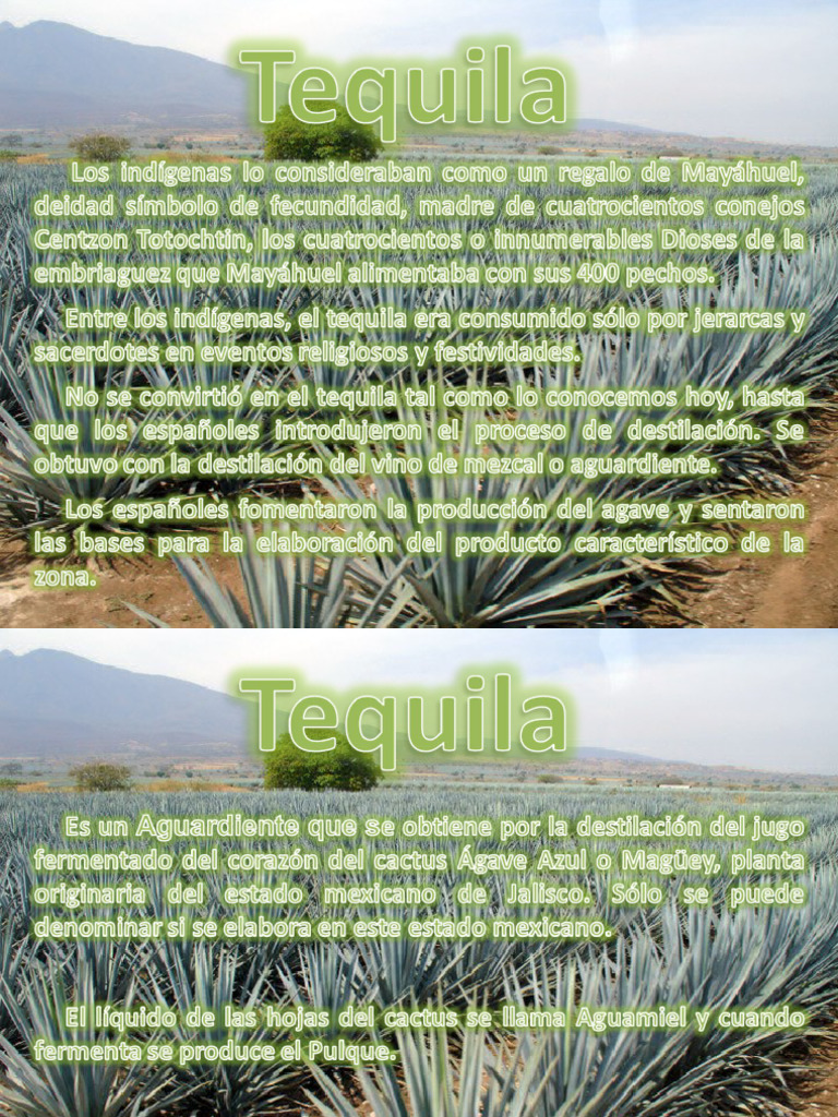 Tequila | PDF