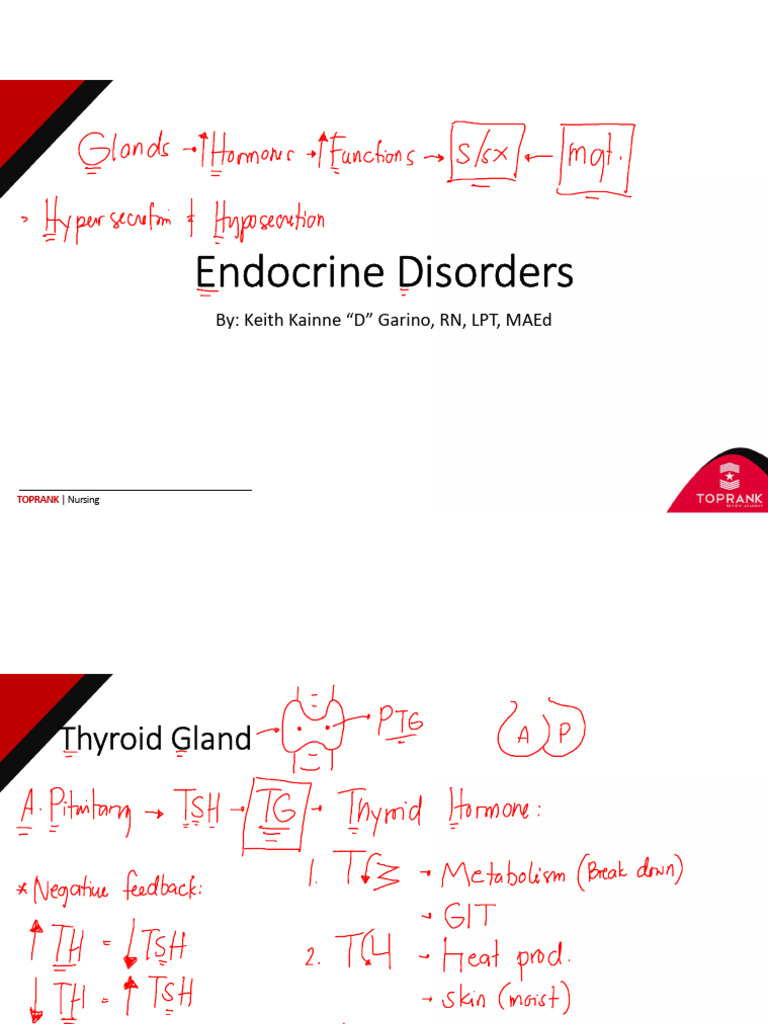 Endo Block 1 | PDF | Hyperthyroidism | Adrenal Gland