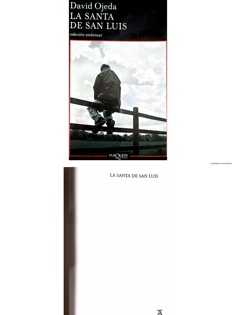 OJEDA, David, La Santa de San Luis | PDF