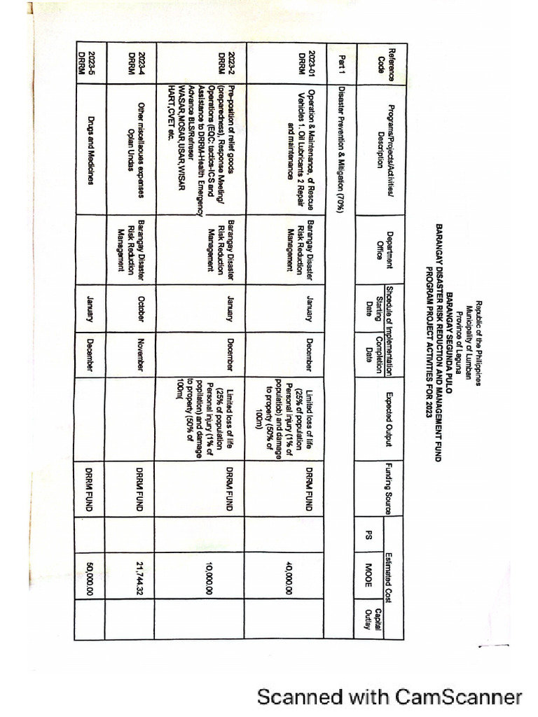Approved BDRRM Plan | PDF