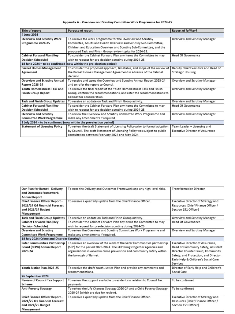 Overview and Scrutiny Work Programme 2024-25 | PDF | Government