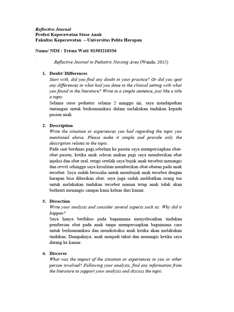 Reflective Journal | PDF