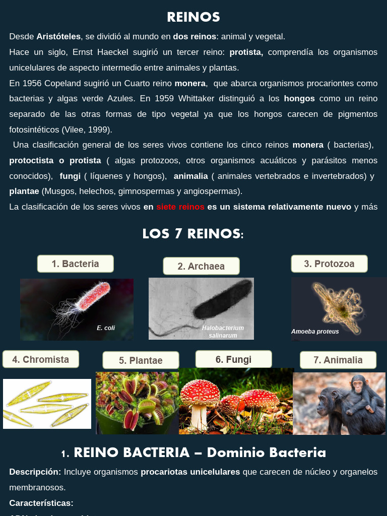1 2 Seres-Vivos-y-Diversidad Introduccion2 | PDF | Las bacterias | Hongo