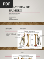 Clasificacion de Gartland 2 | PDF | Sistema musculoesquelético