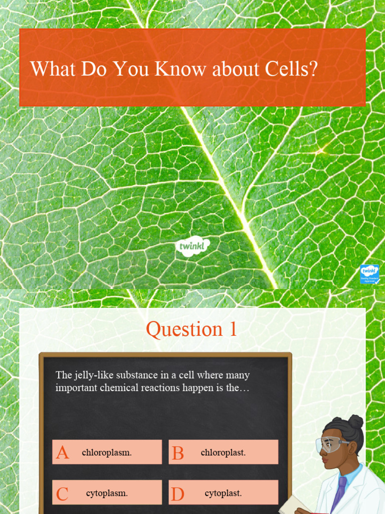 What Do You Know About Cells | PDF | Cell (Biology) | Cytoplasm