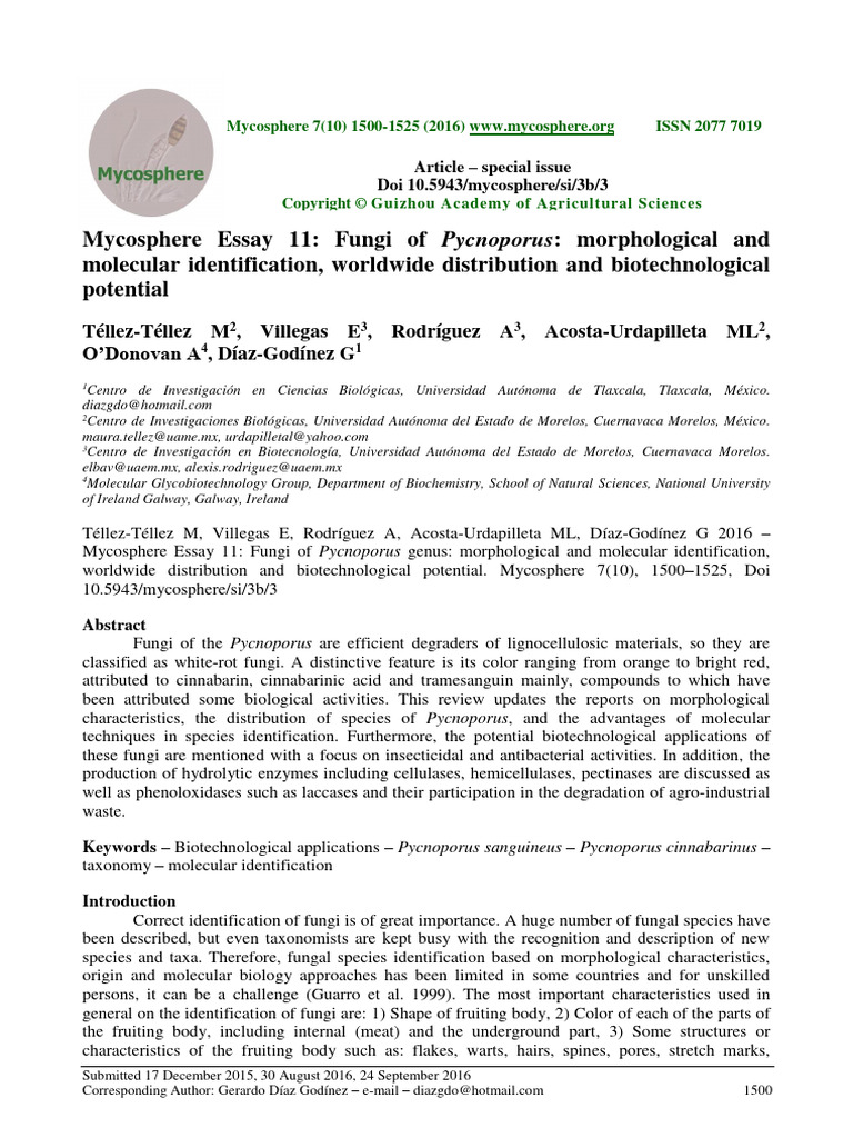 Mycosphere SI 3b 3-1 | PDF | Ribosomal Dna | Nmda Receptor