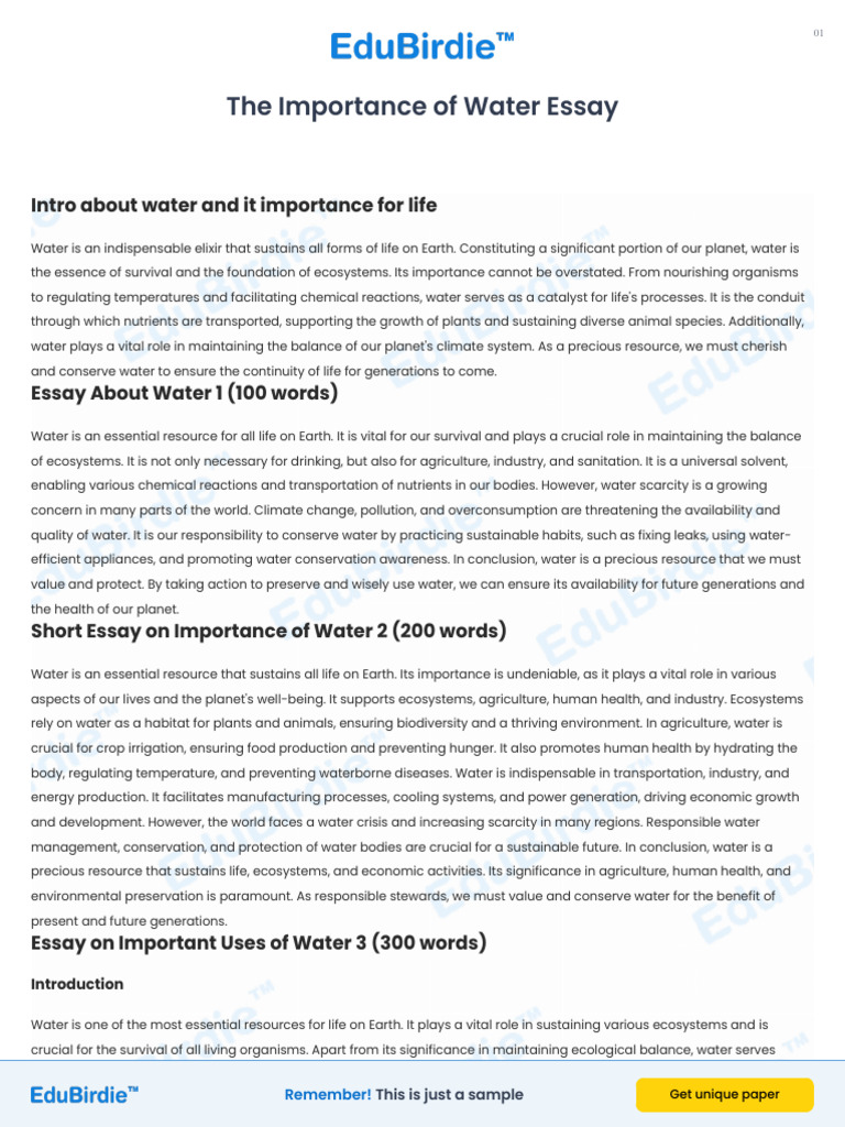 The Importance of Water Essay | PDF | Water | Water Cycle