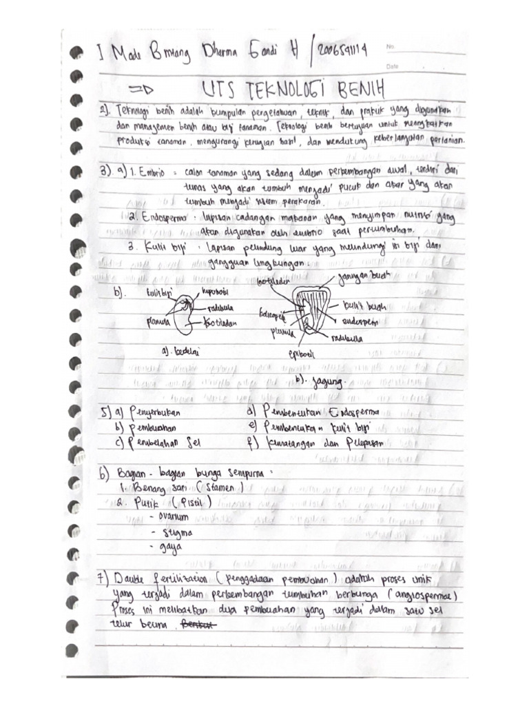 I Made Bintang Dharma Gandi H - UTS TEKNOLOGI BENIH | PDF