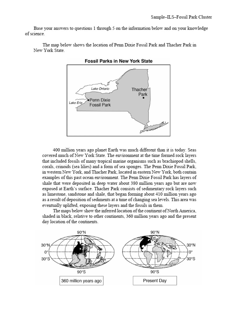 Ils Test Sample Updated | PDF | Force | Sodium Bicarbonate