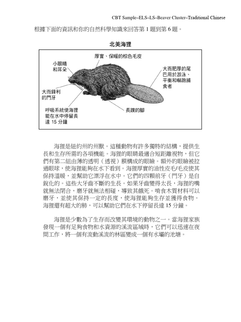 Sample Els Test Items Traditional Chinese | PDF