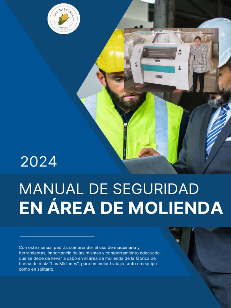 Manual de Seguridad e Higiene | PDF | ruido | Primeros auxilios