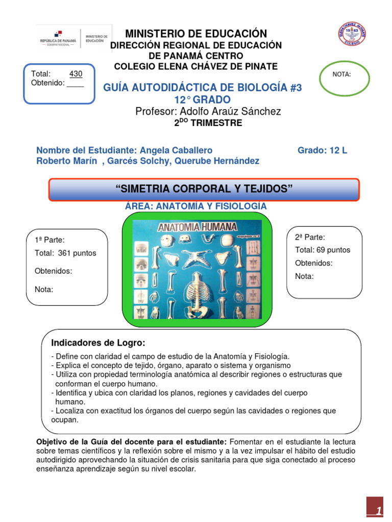 Módulo 3 Anatomía y Simetría | PDF | Anatomía | Radiología