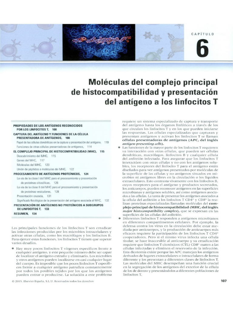 Lectura 7 Inmuno | PDF