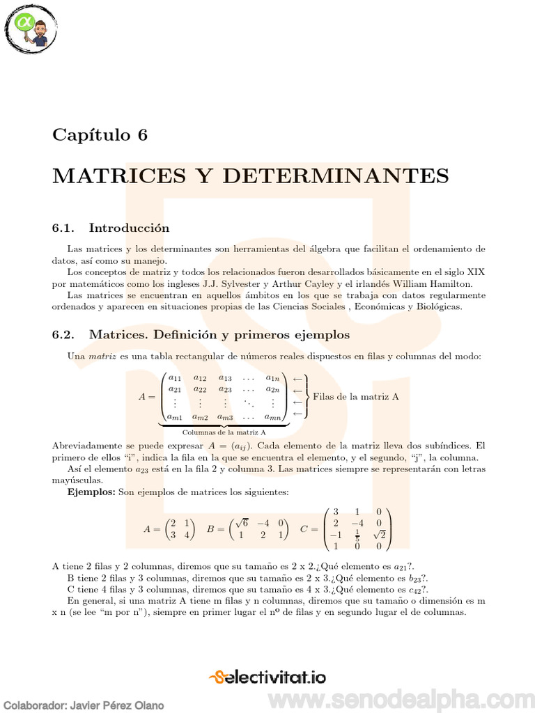 Apuntes-Matrices-Y-Determinantes-2-Bachillerato 2 | PDF | Matriz ...