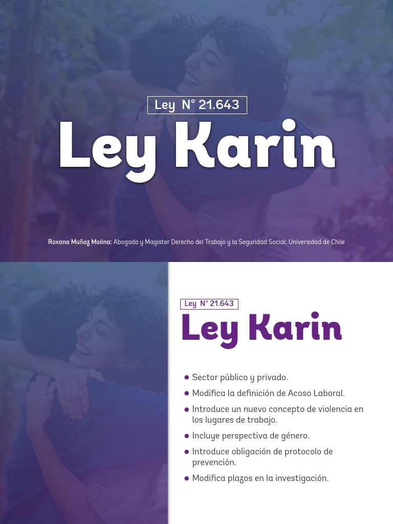 Presentación Ley Karin | PDF | Acoso sexual | Violencia