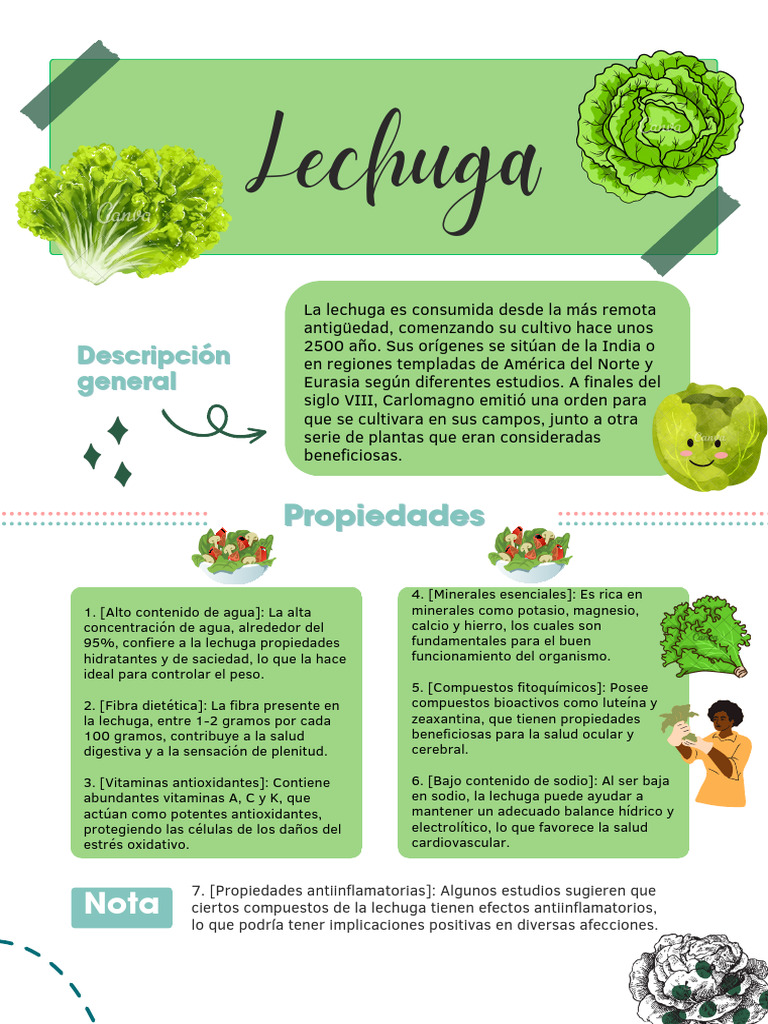 Lechuga | PDF | Tecnología