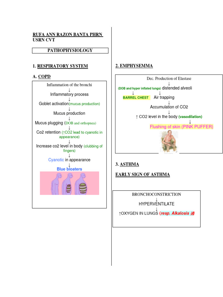 Pathophysiology 08 10 24 | PDF | Red Blood Cell | Chronic Obstructive ...