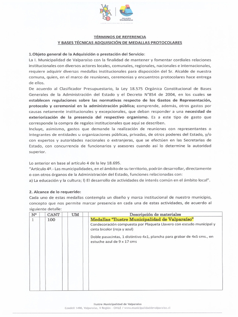 TDR Medallas Final OK | PDF