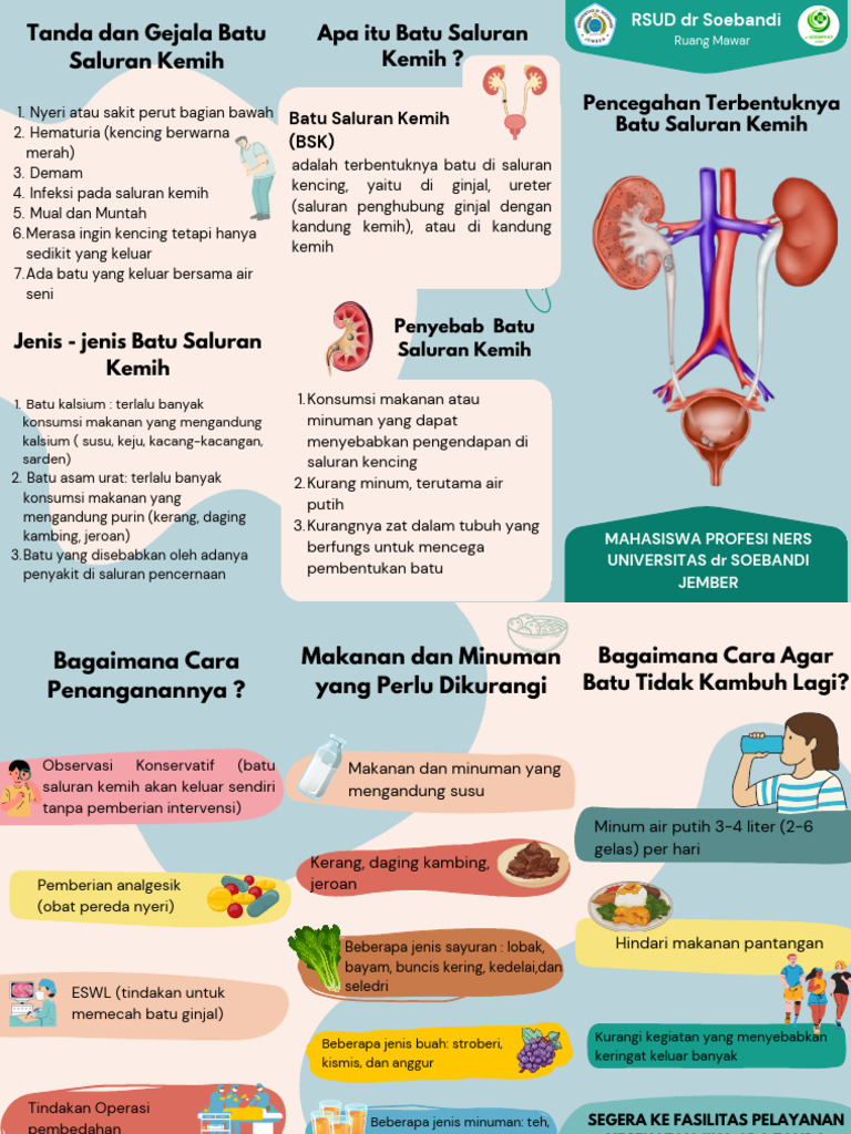 Leaflet Batu Ginjal | PDF