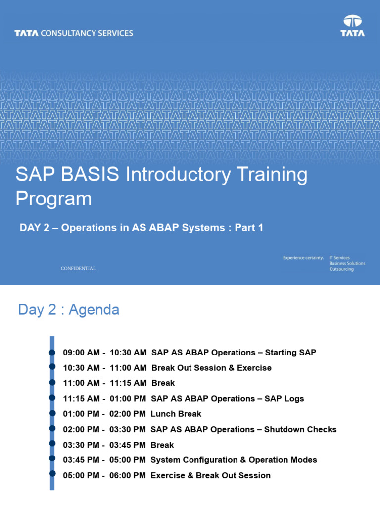 SAP BASIS Introductory Training Program - Day 2 | PDF | Operating System | Command Line Interface