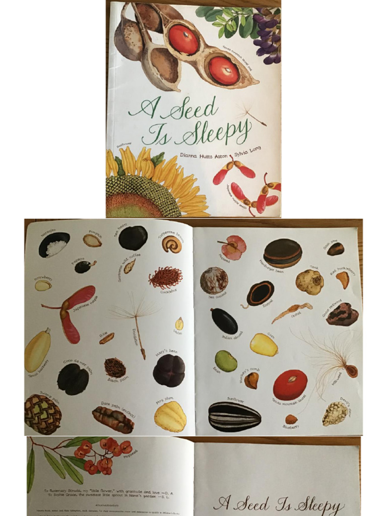 A Seed Is Sleepy Book.200666328 | PDF