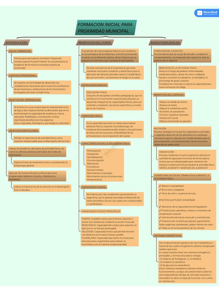 Mapa Conceptual | PDF