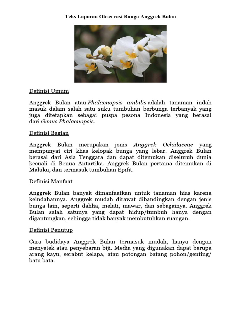 Teks Laporan Observasi Bunga Anggrek Bulan | PDF | Griya & Taman | Sains & Matematika