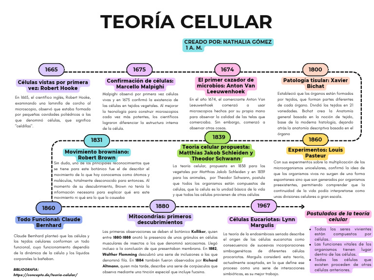 Línea de Tiempo Teoría Celular GÓMEZ | PDF | Biología Celular) | Organismos