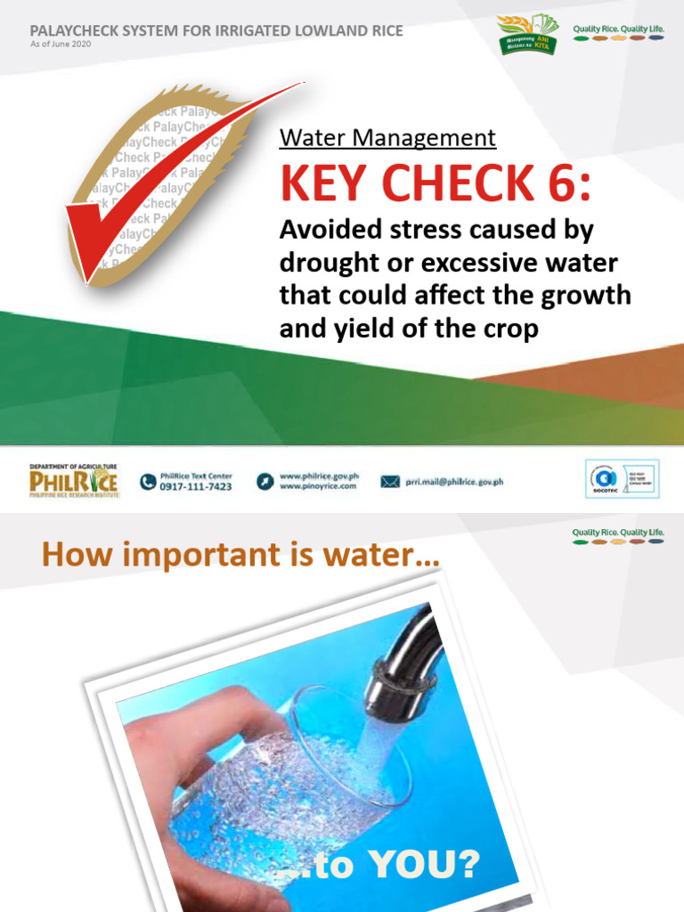 Key Check 6 Water Management | PDF | Rice | Water Scarcity