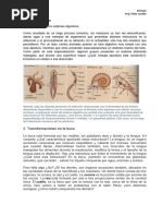 119 - Atlas de Anatomía Del Perro | PDF | Imagenes medicas | Tórax