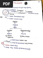 Vipin Sir Revision Mind Map 11 | PDF | Botany | Plants
