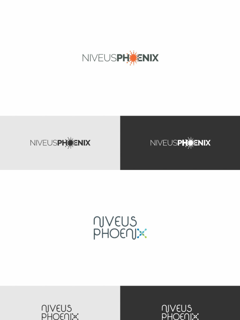 Niveus Phoenix Logo | PDF