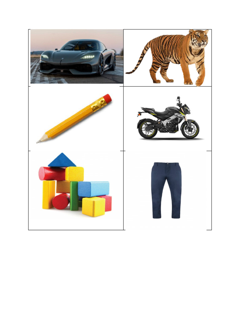 Picture To Picture Match | PDF